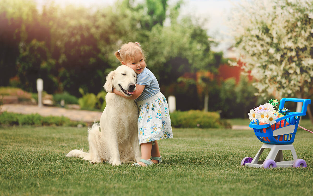 Familienhaus Loop Classic von Kern-Haus | Schickes Design